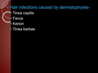 Fungal infection in hair | PPTX