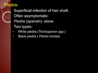 Fungal infection in hair | PPTX