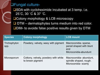 Fungal infection in hair | PPTX