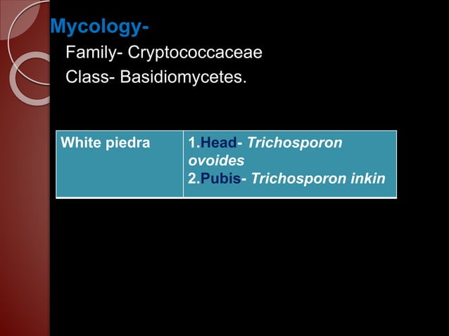 Fungal infection in hair | PPTX | Skin and Dermatology | Diseases and ...