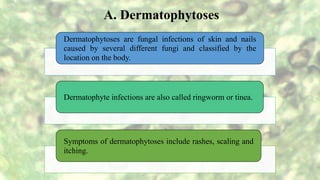 Fungal diseases in humans part 1 | PPTX