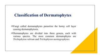 Fungal diseases in humans part 1 | PPTX