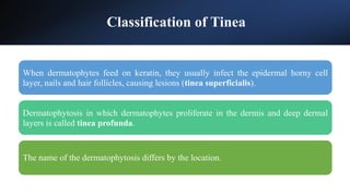 Fungal diseases in humans part 1 | PPTX
