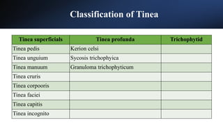 Fungal diseases in humans part 1 | PPTX