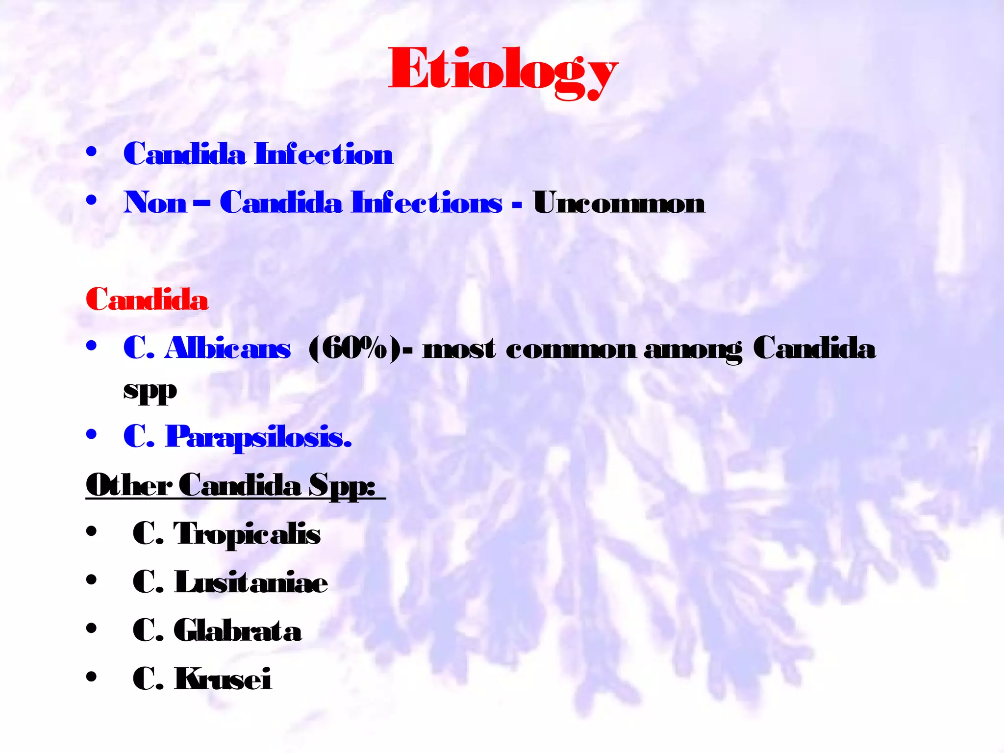 Fungal infection in Neonates | PPT