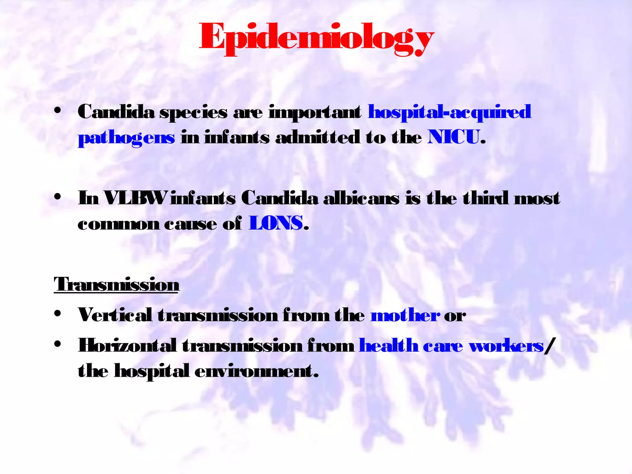 Fungal infection in Neonates | PPT