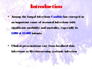 Fungal infection in Neonates | PPT