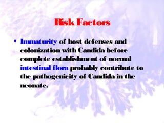 Fungal infection in Neonates | PPT