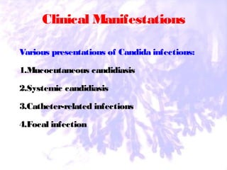 Fungal infection in Neonates | PPT