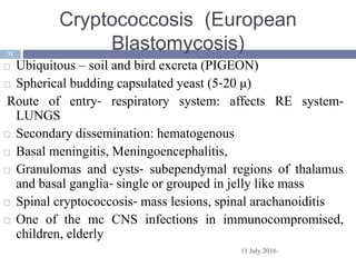 Fungal infection of cns | PPTX