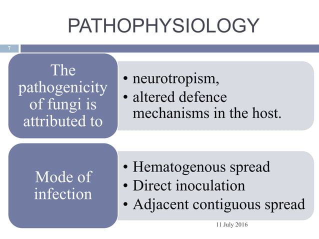 Fungal infection of cns | PPTX