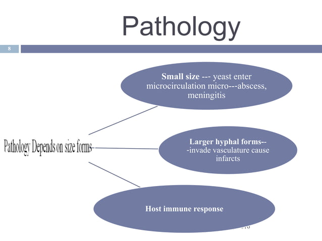 Fungal infection of cns | PPTX