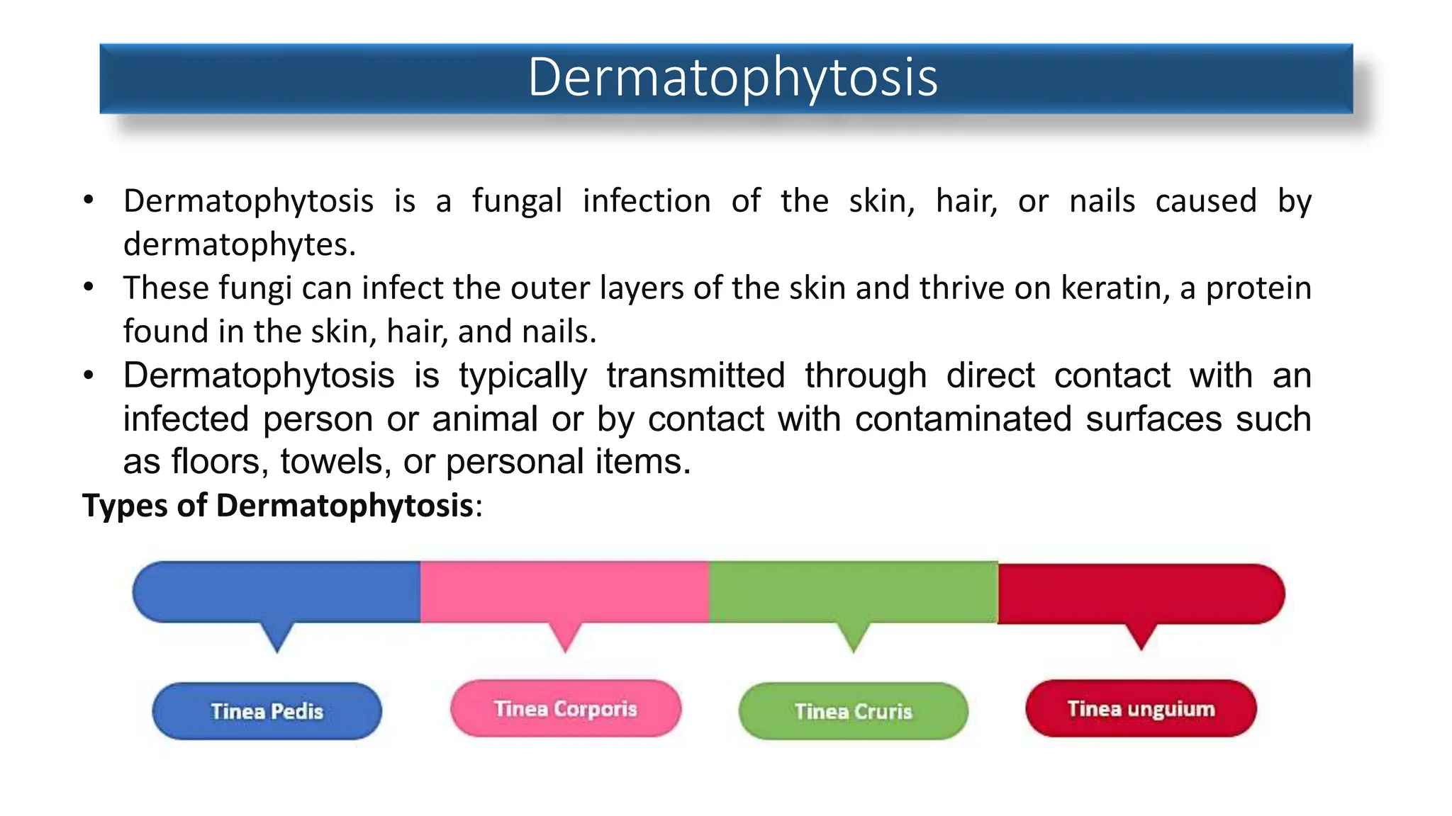 Fungal infection of skin (Dermatophytosis , yeast infection) | PPTX