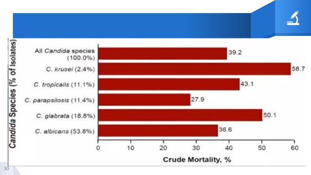 Fungal infection presentation by mohamed salah.pptx