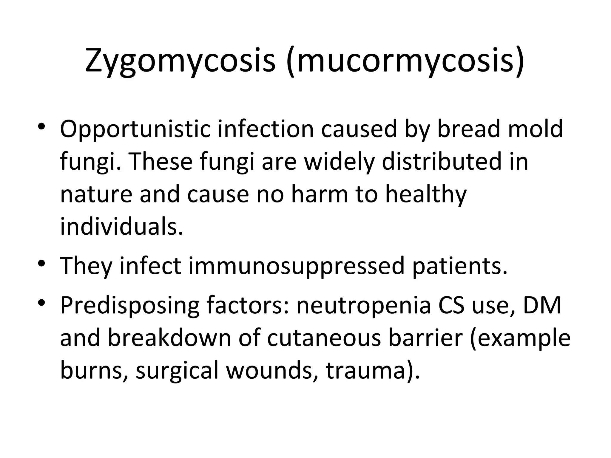 Fungal infections in histopathology | PPT
