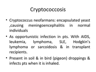 Fungal infections in histopathology | PPT