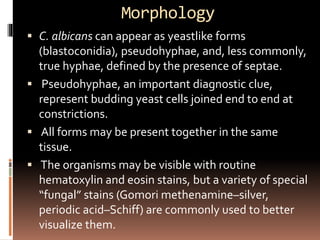 Fungal infections | PPT