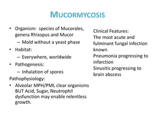 Fungal infections | PPTX