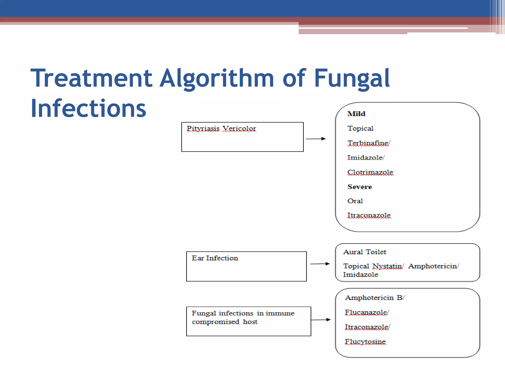 Fungal infections | PPTX