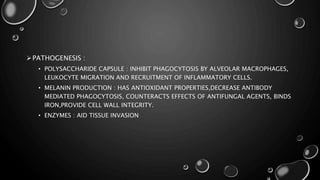 Fungal infections | PPT