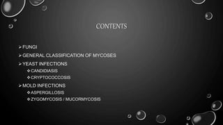 Fungal infections | PPT