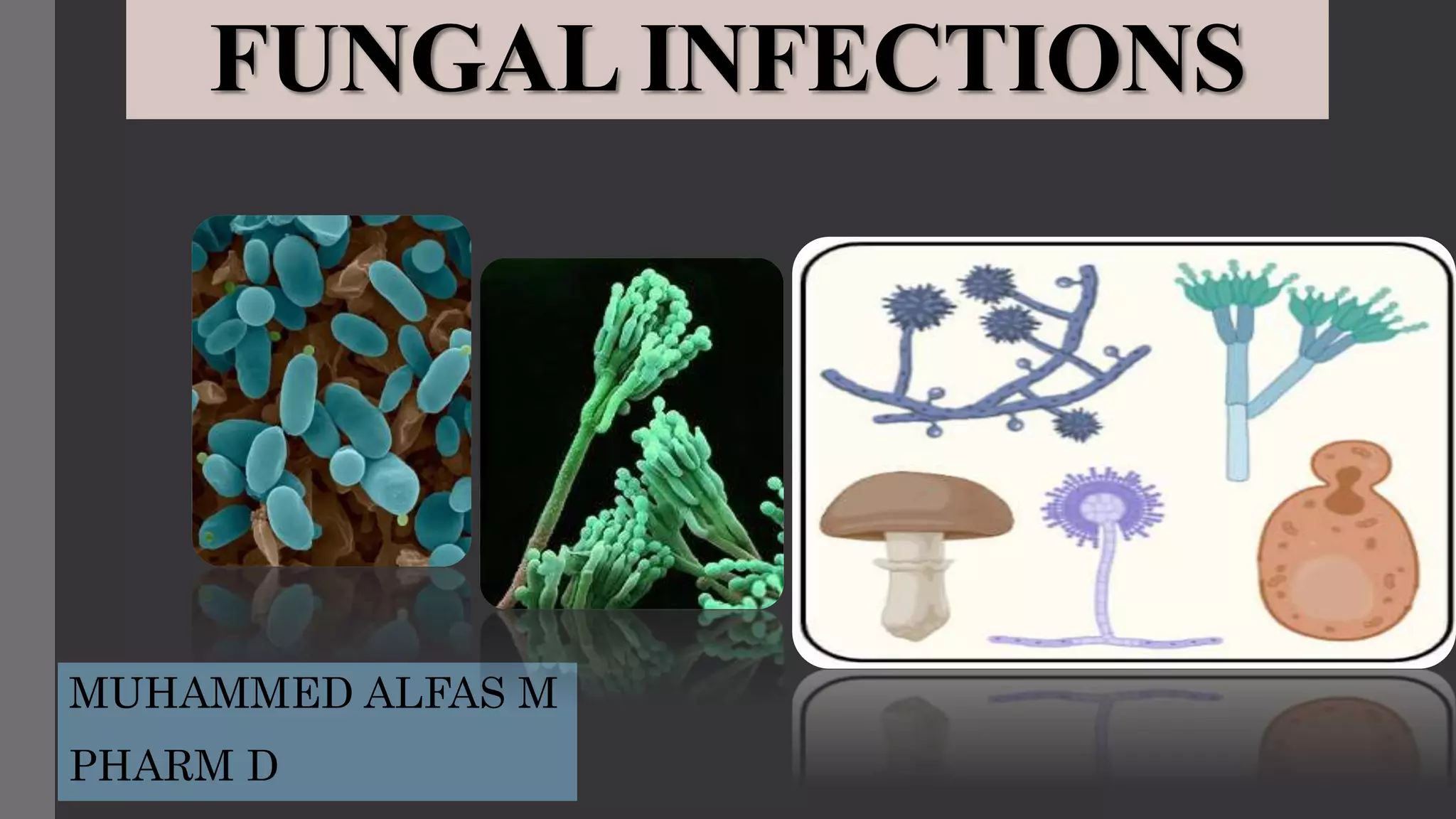 FUNGAL INFECTIONS.pptx