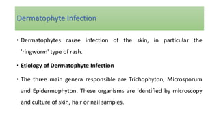 Fungal Infections.pptx