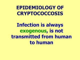fungal infections powerpoint presentation.ppt