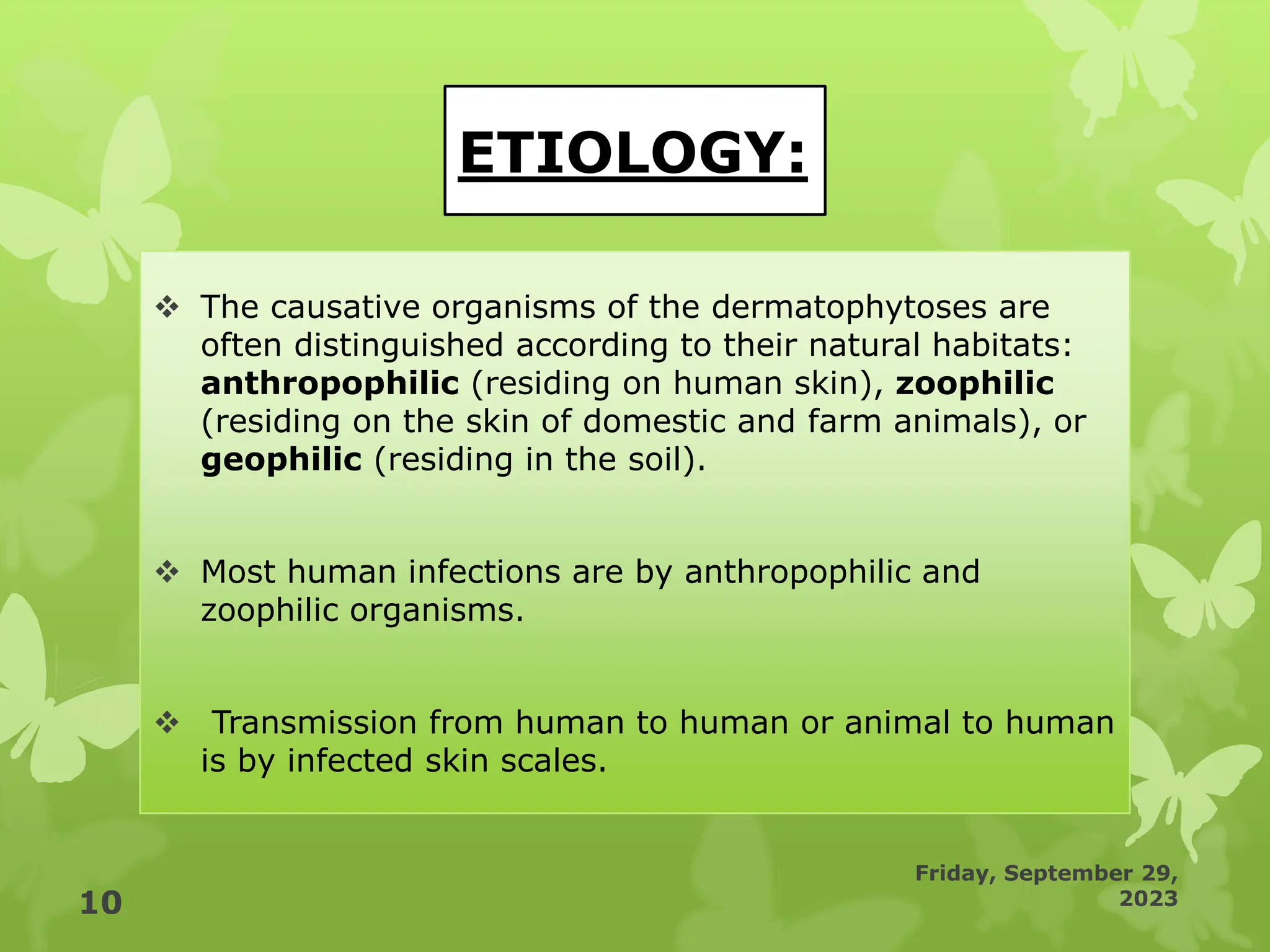 Understanding Fungal Skin Infections and Ringworm: Causes, Symptoms ...