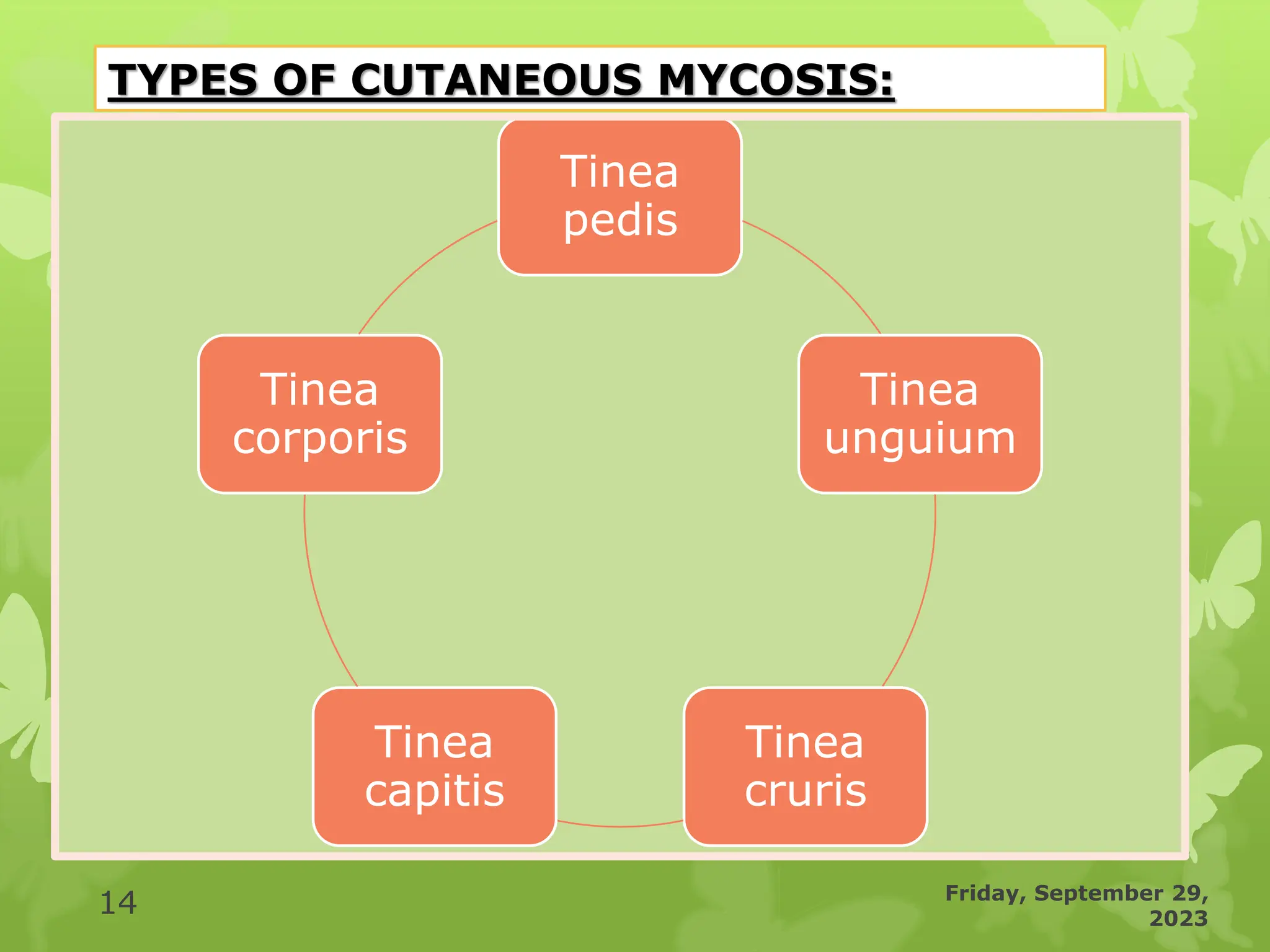 Understanding Fungal Skin Infections and Ringworm: Causes, Symptoms ...