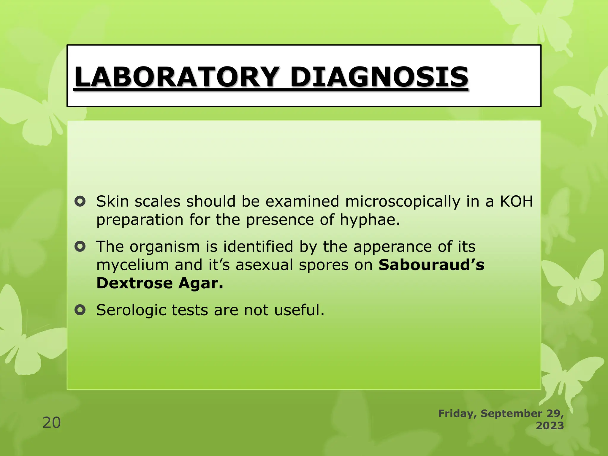 Understanding Fungal Skin Infections and Ringworm: Causes, Symptoms ...