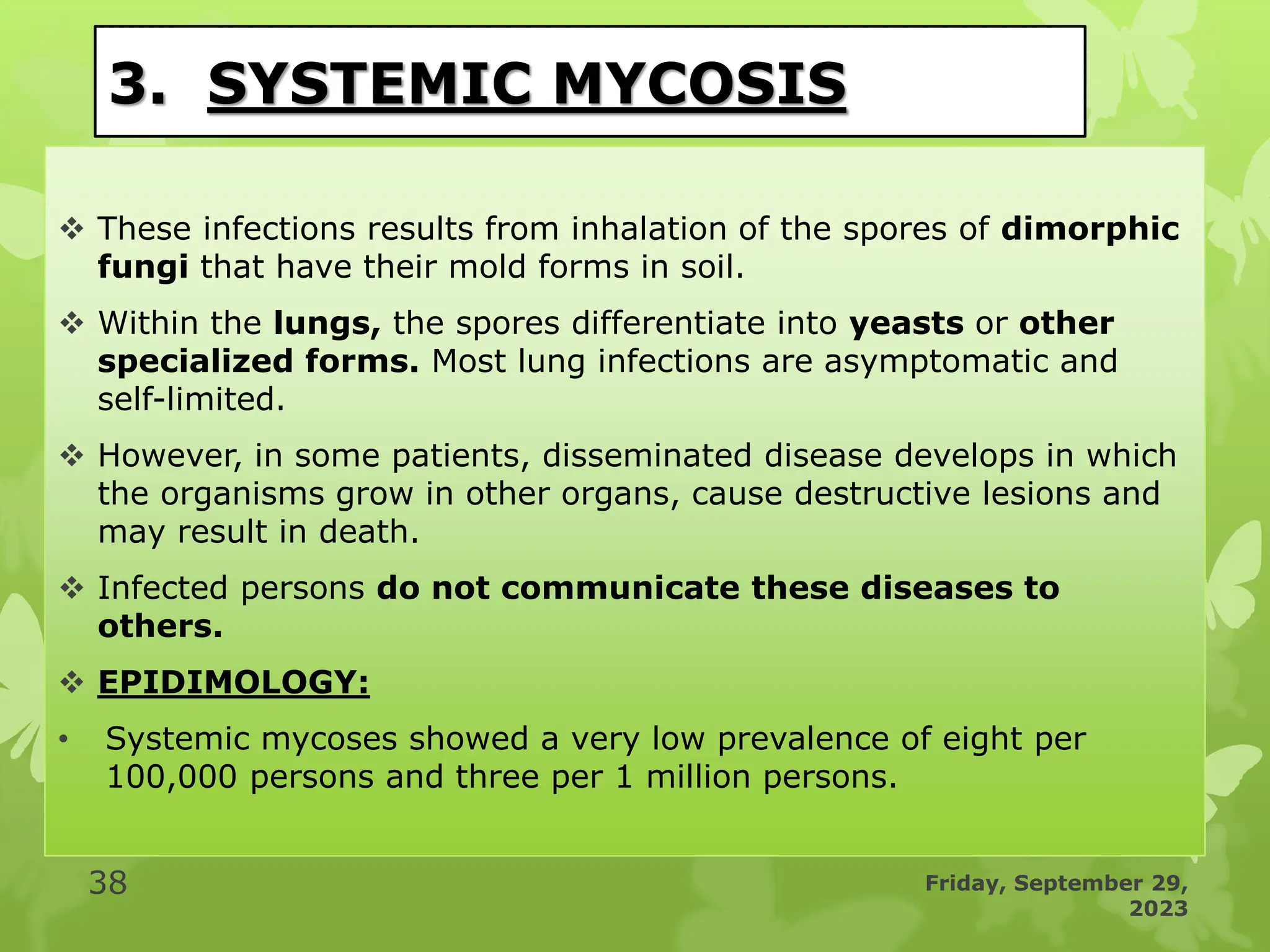 Understanding Fungal Skin Infections and Ringworm: Causes, Symptoms ...