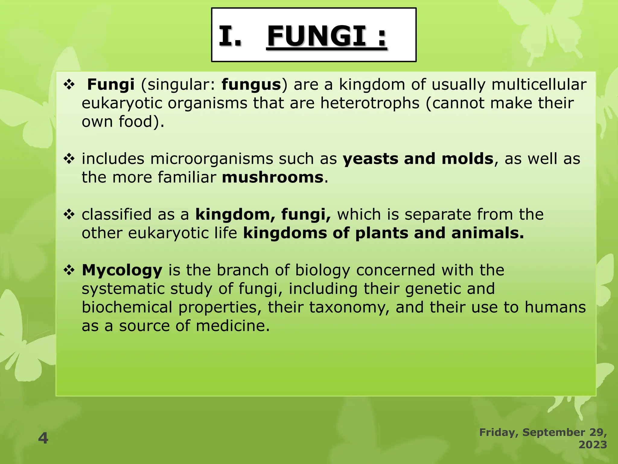 Understanding Fungal Skin Infections and Ringworm: Causes, Symptoms ...