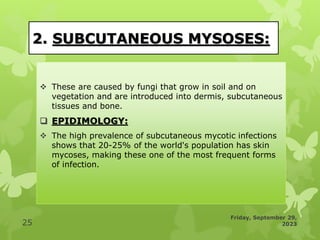 Understanding Fungal Skin Infections and Ringworm: Causes, Symptoms ...