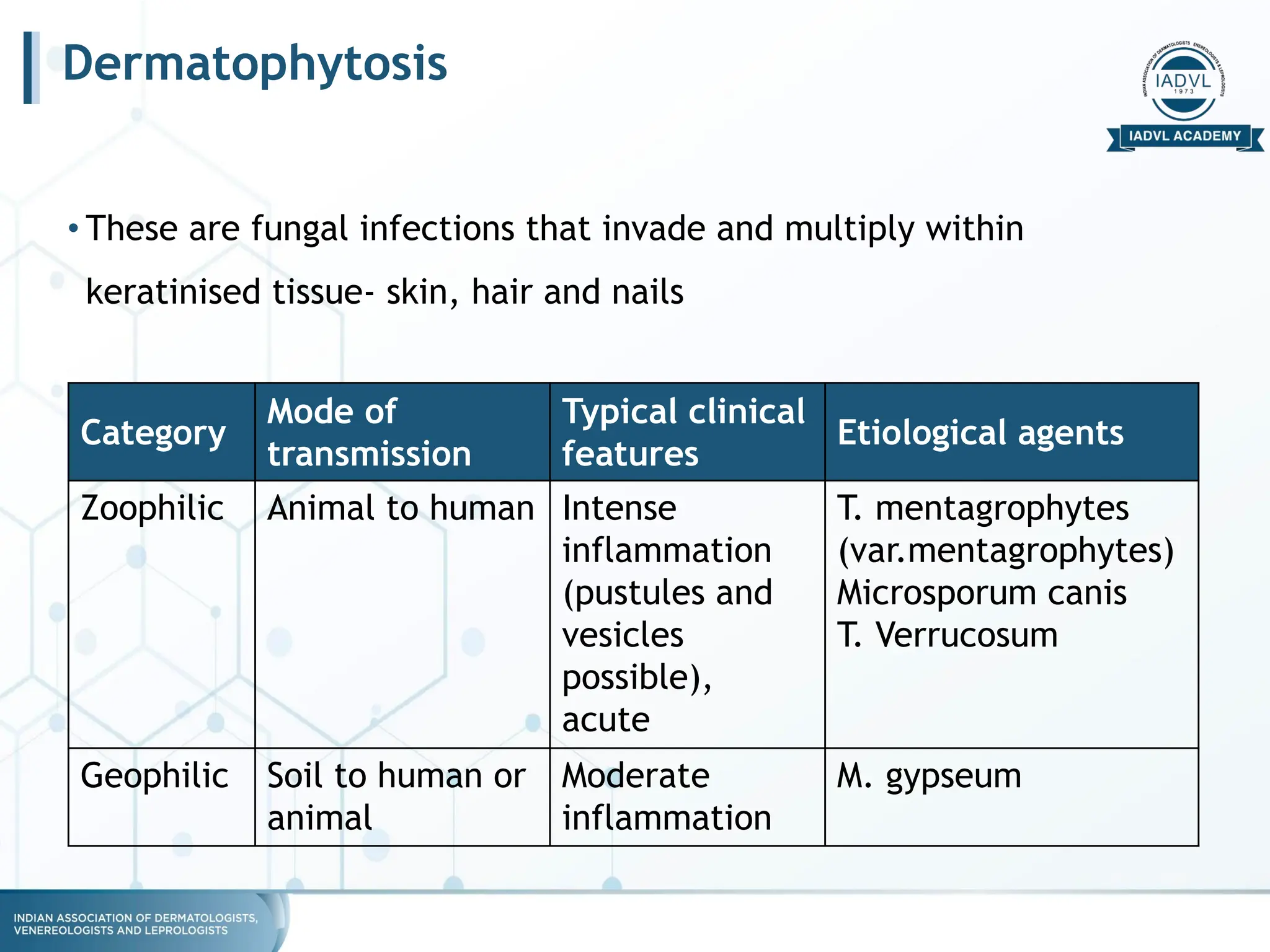 fungal infections for dermatology.pptx.pdf