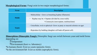 FUNGAL INFECTIONS - Introduction to fungi.pptx