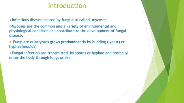 Fungal infections | PPT