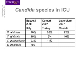 Fungal infections in critical care(cases) | PPTX