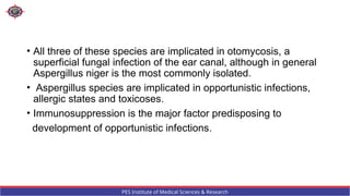 FUNGAL INFECTIONS IN ENT otorhinolaryngology.ppt