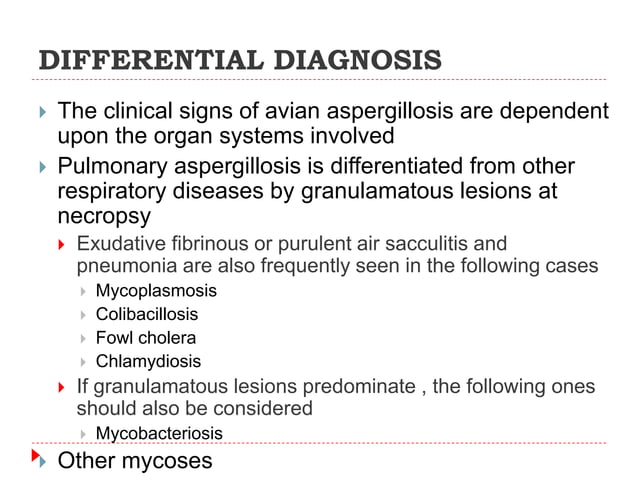 Fungal infections in poultry | PPTX | Infectious Diseases | Diseases ...