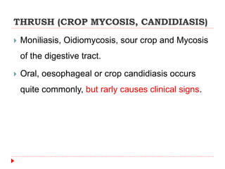 Fungal infections in poultry | PPTX