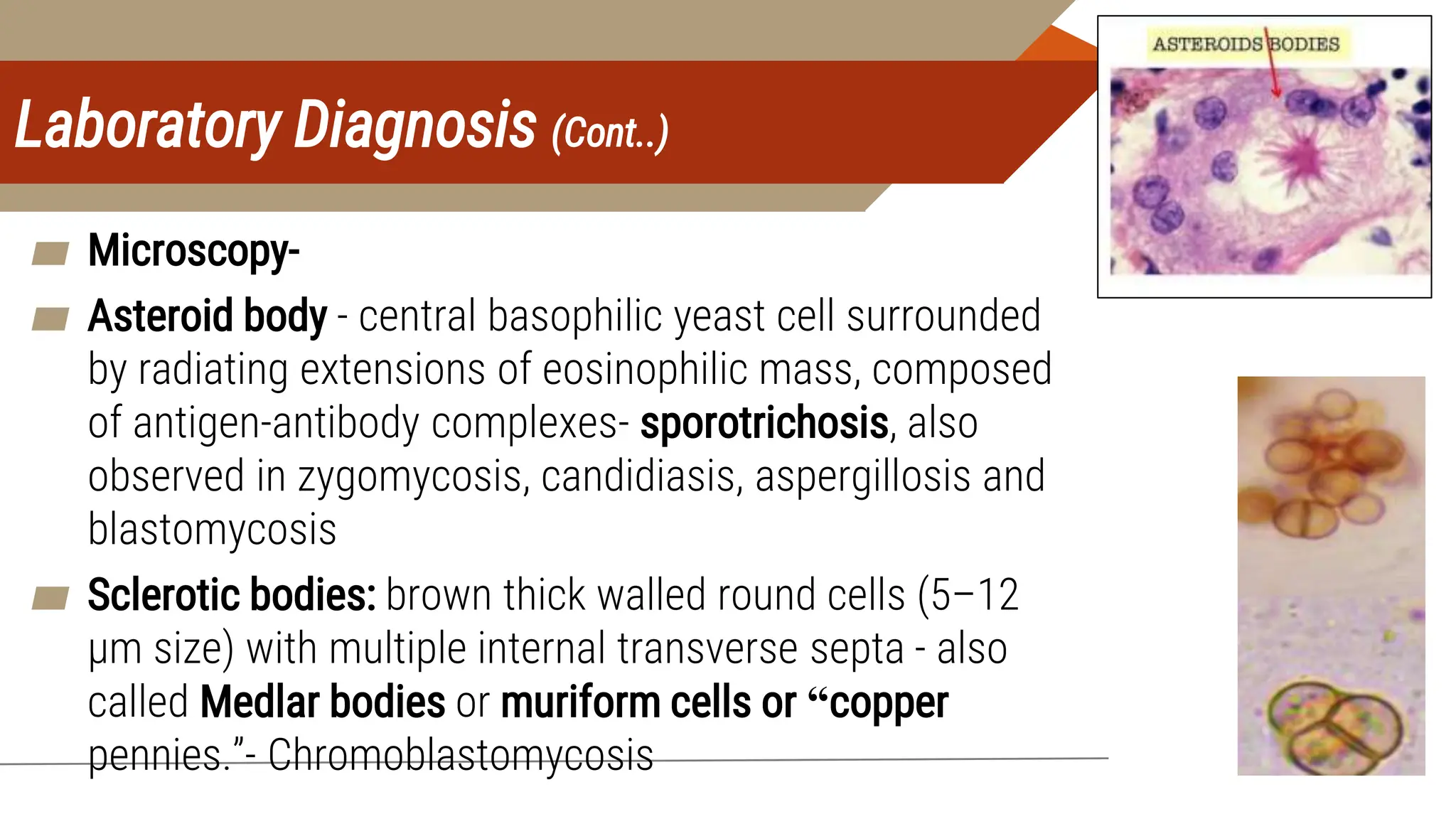 Fungal Infections of Skin, Soft tissue.pptx