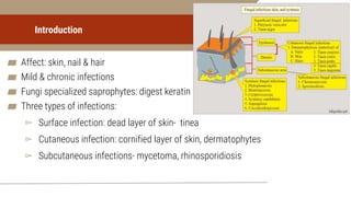 Fungal Infections of Skin, Soft tissue.pptx