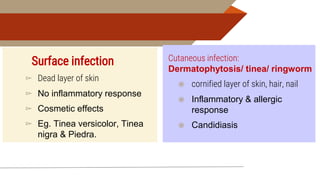 Fungal Infections of Skin, Soft tissue.pptx
