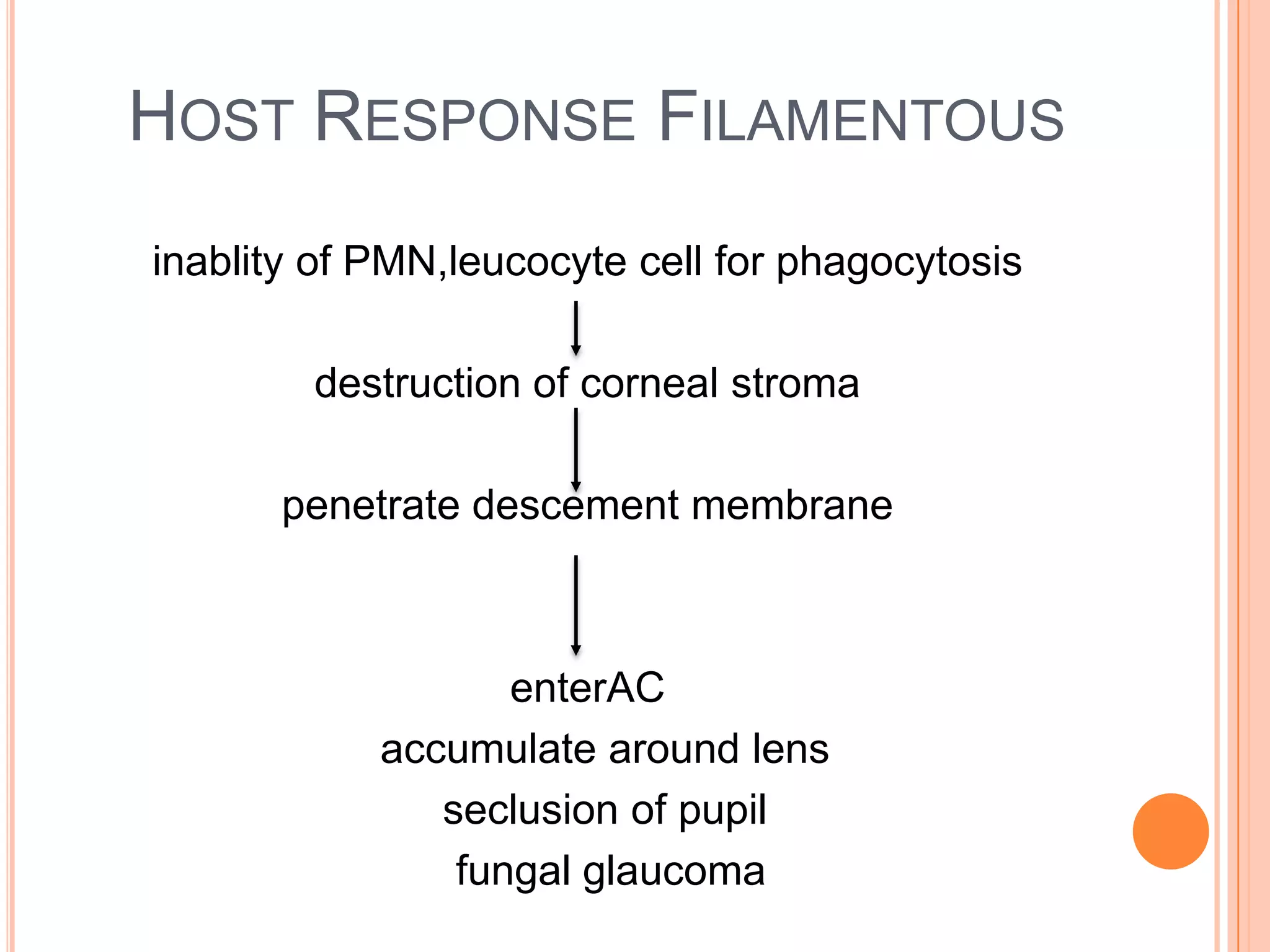 Fungal infections of the eye | PPTX