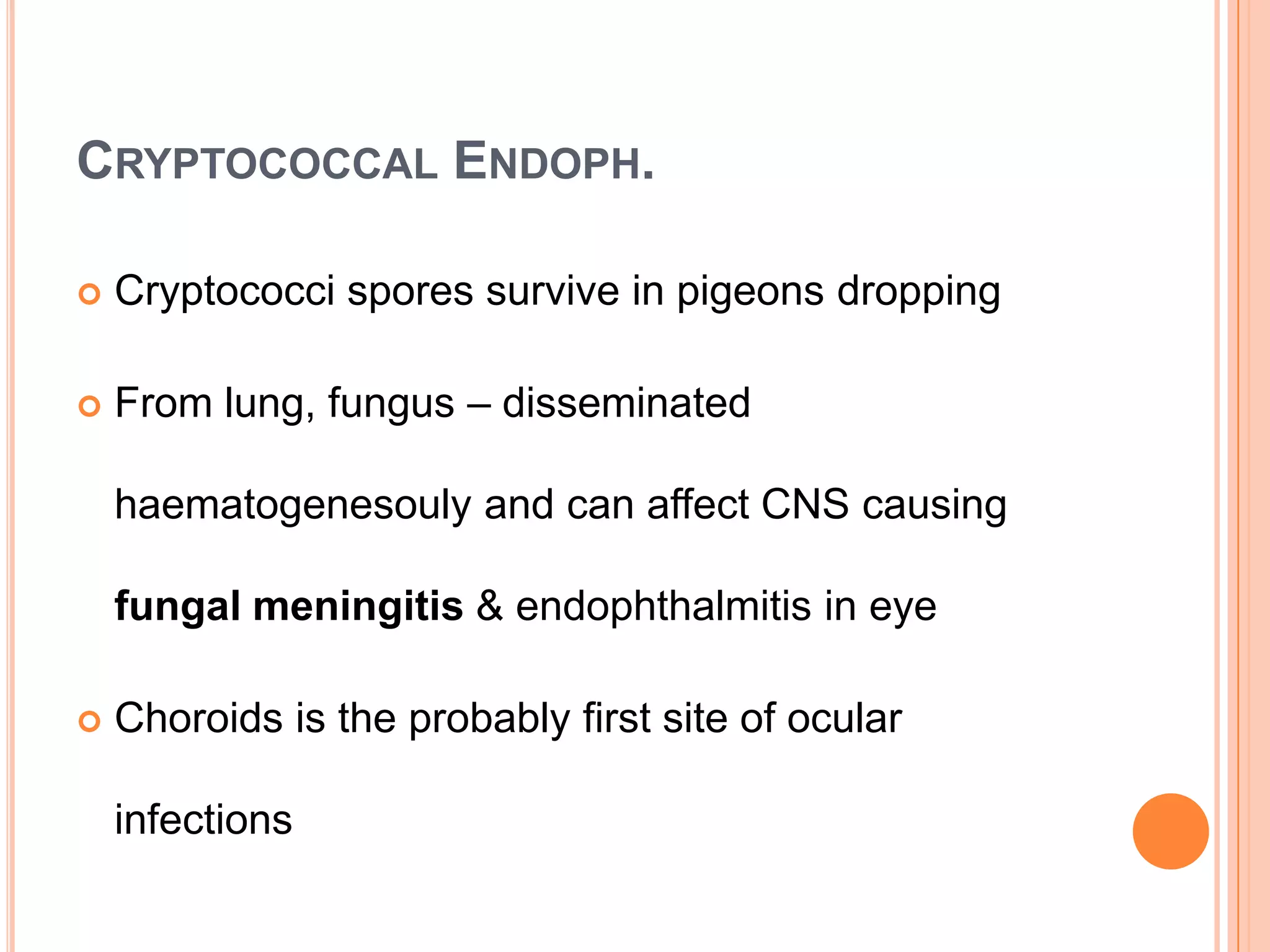 Fungal infections of the eye | PPTX