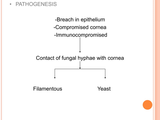 Fungal infections of the eye | PPTX | Eye and Vision Conditions ...