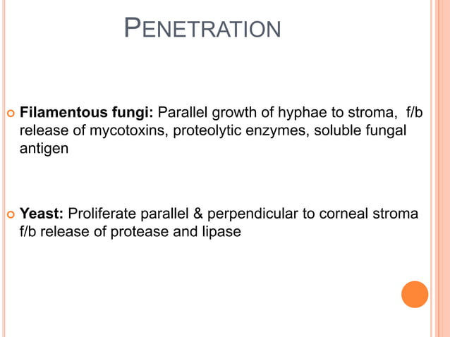 Fungal infections of the eye | PPTX | Eye and Vision Conditions ...