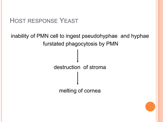 Fungal infections of the eye | PPTX | Eye and Vision Conditions ...