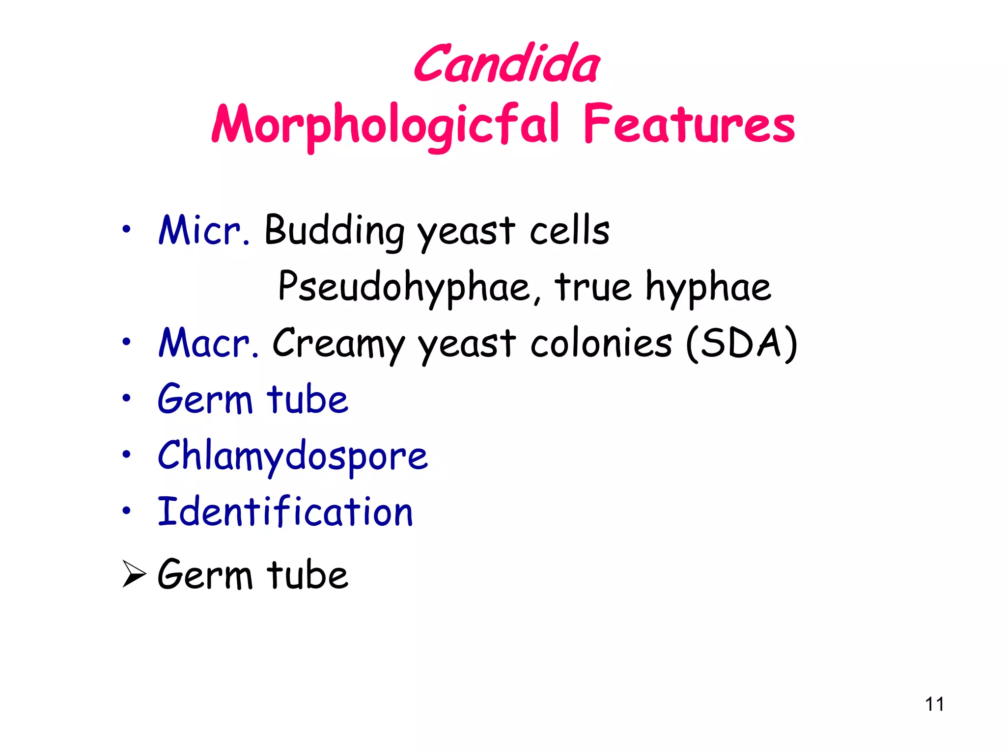 Fungal infections of the oral cavity | PDF